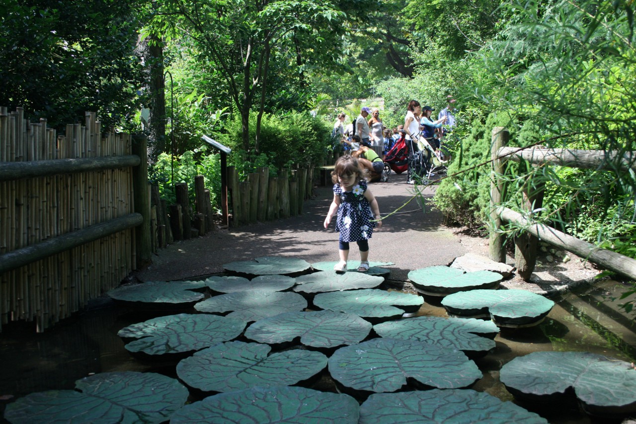 Tisch Children's Zoo_02 - Quennell Rothschild & Partners