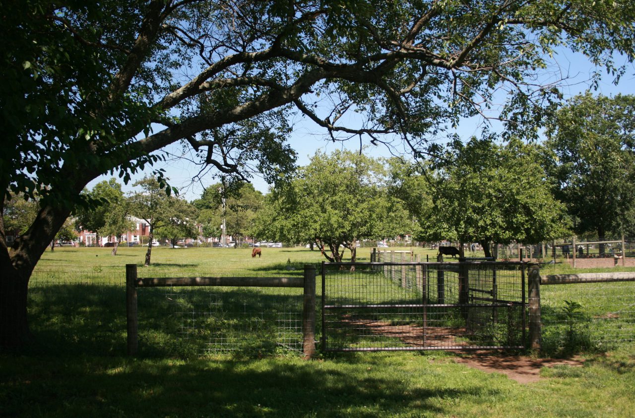 Queens Farm, Queens - Quennell Rothschild & Partners