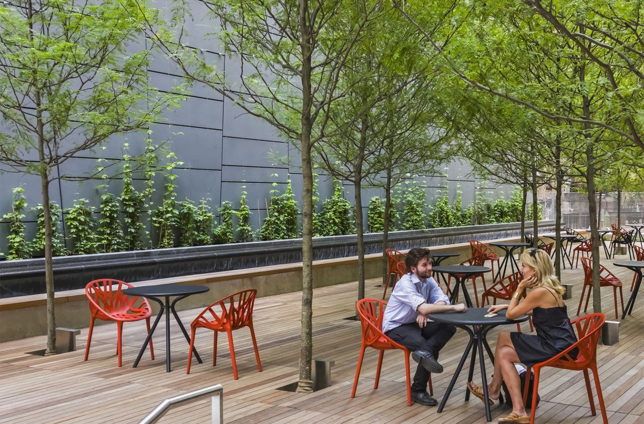 Weill Cornell Medical College, Belfer Research Building - Quennell ...