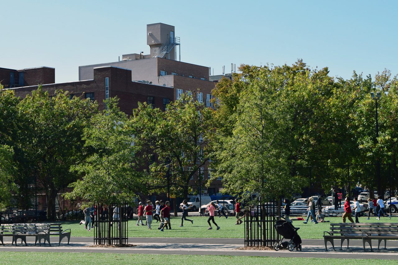 seth low 1 - Quennell Rothschild & Partners